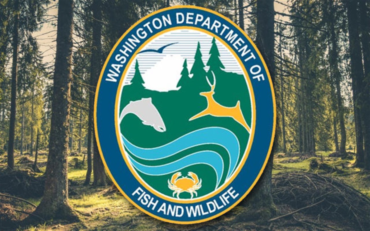 Wildlife Issues – City of Kirkland